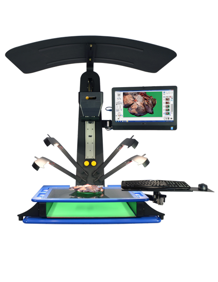 Pathology Gross Imaging | Pathology Grossing Cameras | SPOT