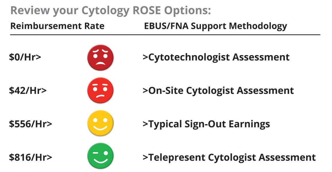 CytoXpress - SPOT Imaging