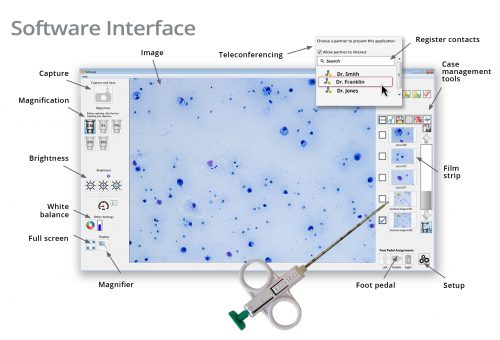 CytoXpress - SPOT Imaging