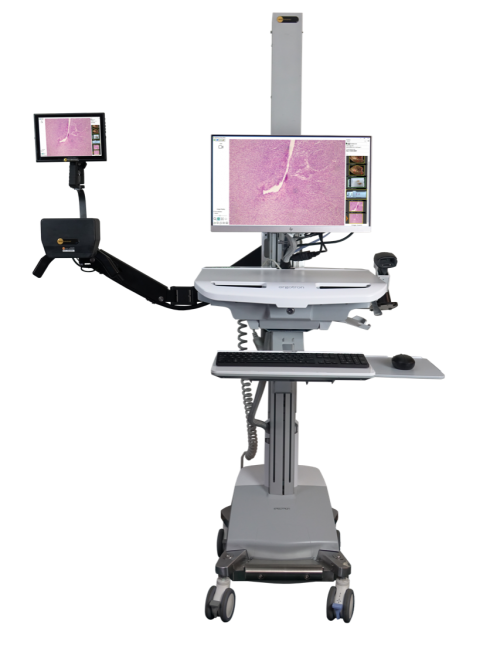 Pathology Gross Imaging | Pathology Grossing Cameras | SPOT